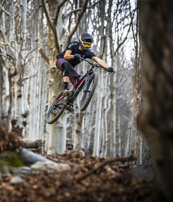 Sponsorship - Our champions